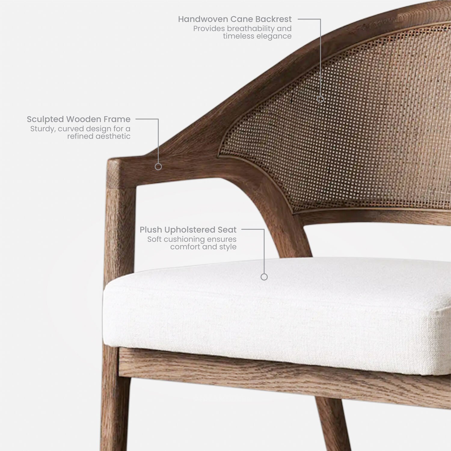 Buy Arlo Rattan Chair Online in India - Dtale Modern