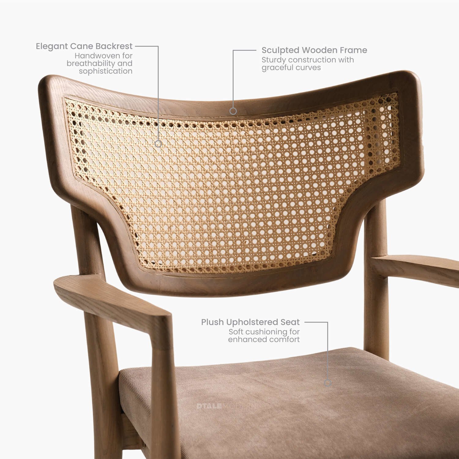 Buy Jamie Rattan Chair Online in India - Dtale Modern