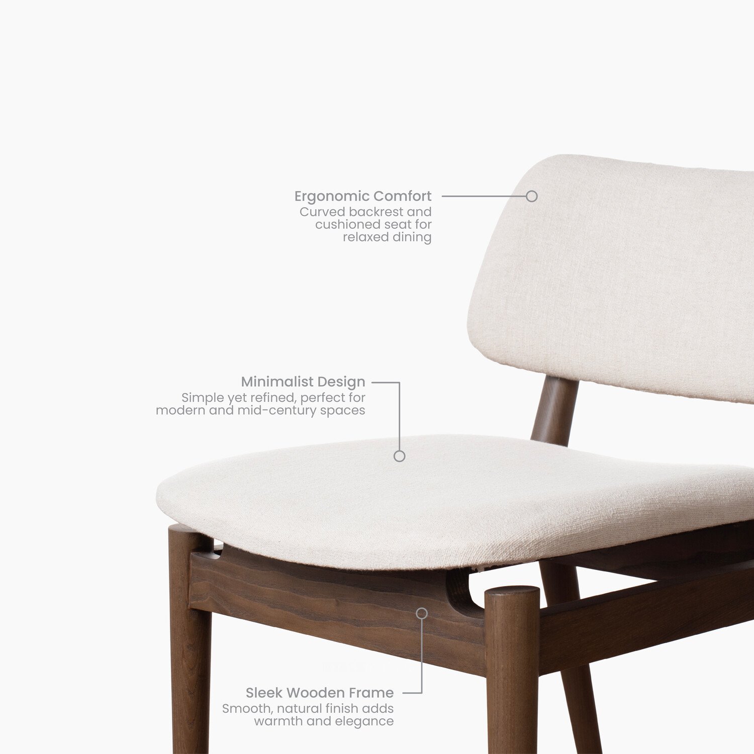 Buy Zena Dining Chair Online in India - Dtale Modern
