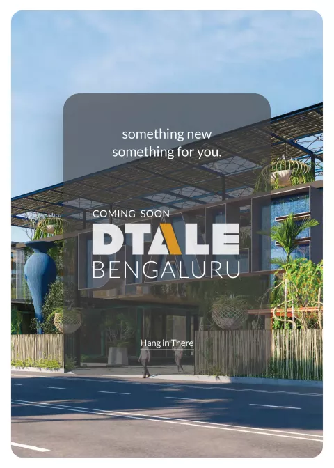 Dtale Modern