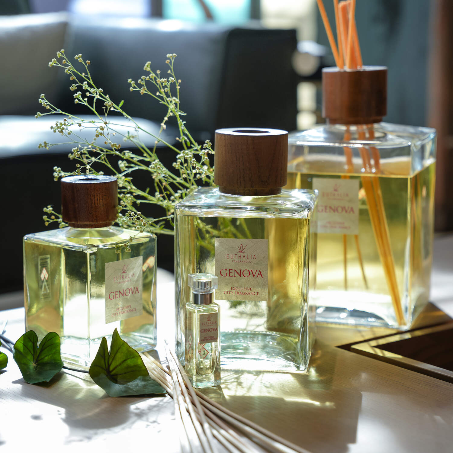 Buy Genova – Reed Diffuser Online in India - Dtale Modern