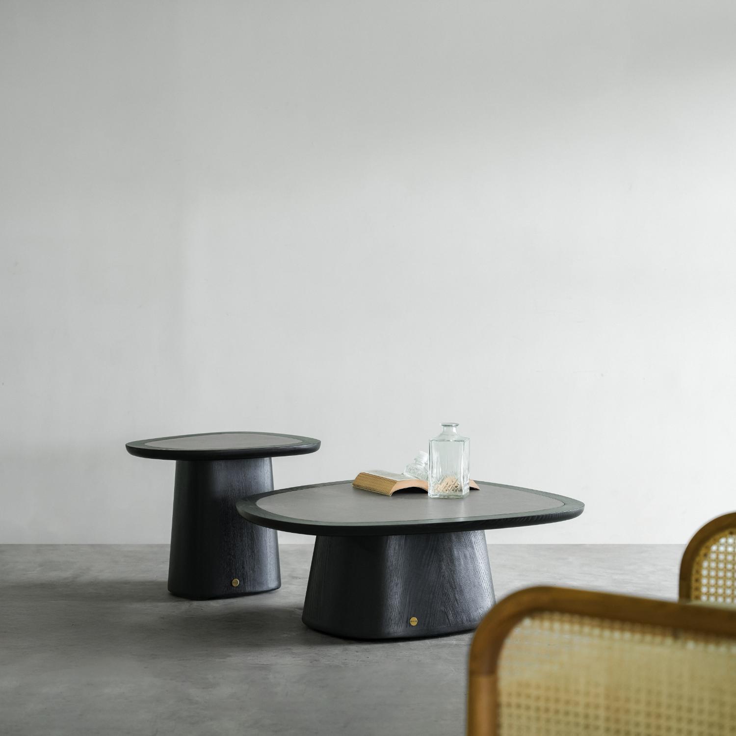 Buy Zuberi Black Coffee Table Set Online in India - Dtale Modern